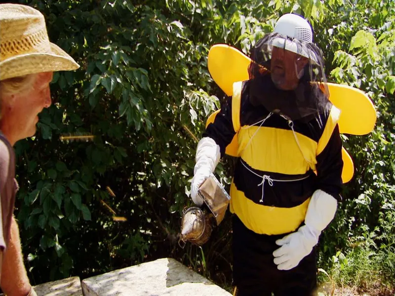 Top 15 Best Killer Bee Costume Reviews 2023 - IT The Movie